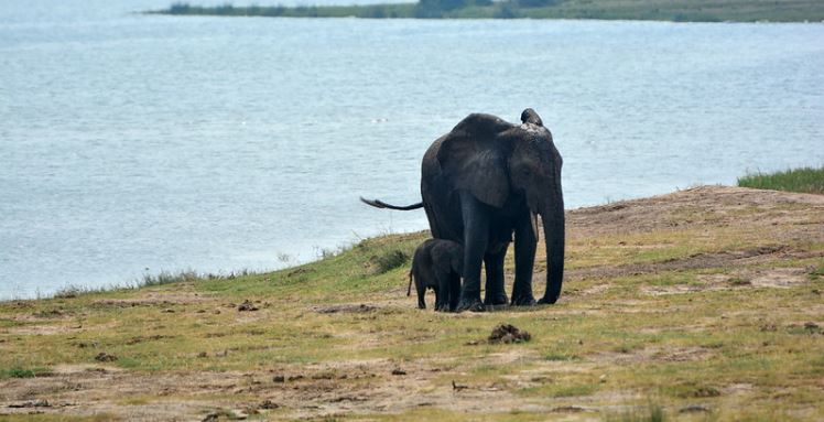 Lake edward - uganda lakes, congo lakes, congo tours
