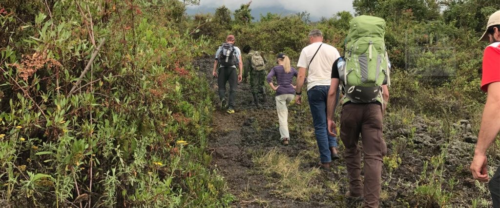 The Best Trails in Rwanda | Rwanda Hiking Safaris | Rwanda Tours