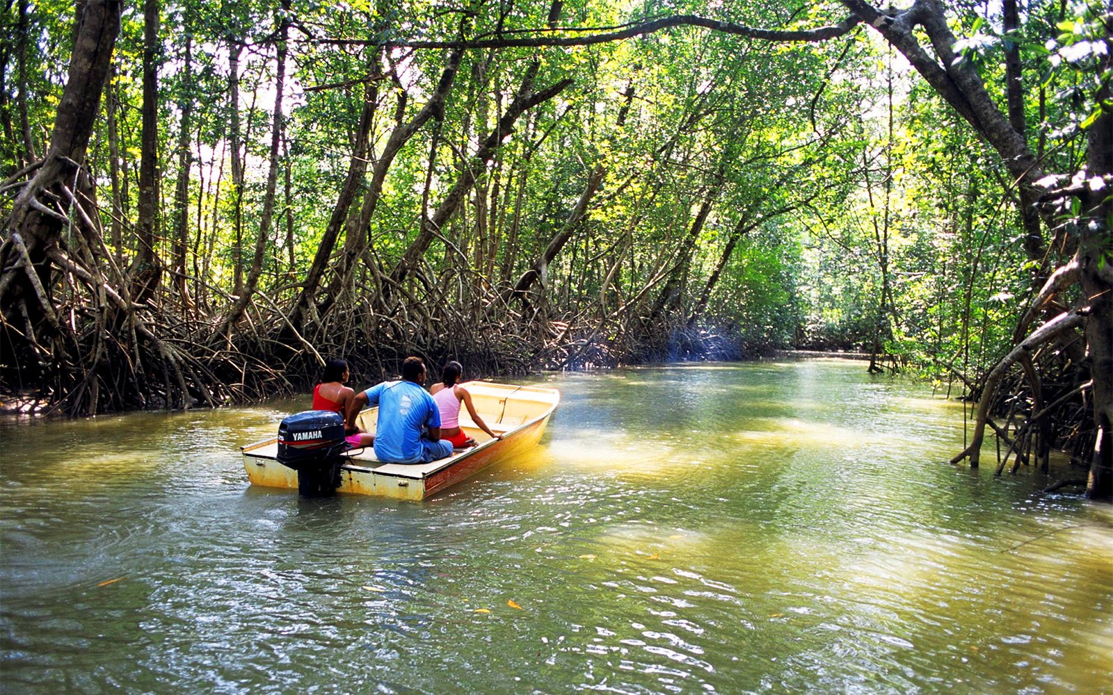 Mangroves National Park - congo national parks, congo tours