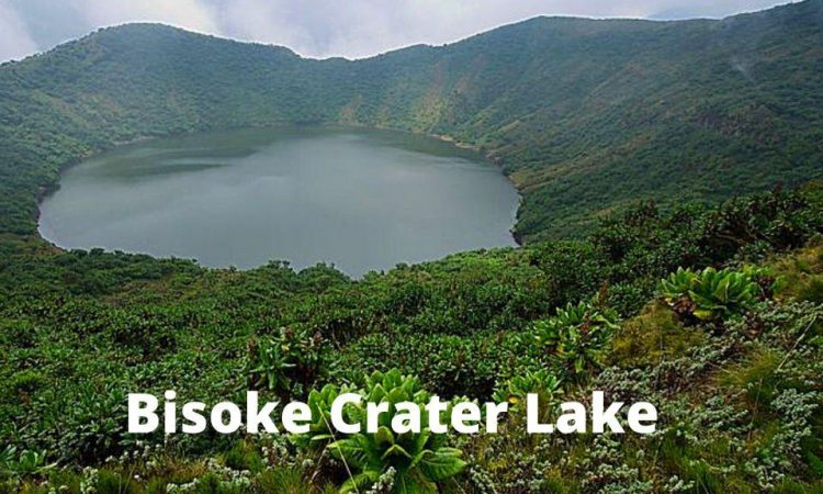 Hiking Mount Bisoke | Mount Bisoke Hike | Rwanda Hiking Tours